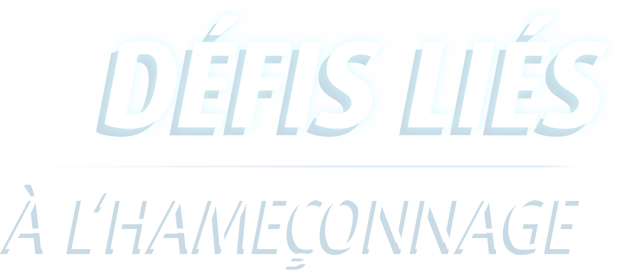 Phish Game - Sequence 1 | Jeu D’Hameçonnage - Séquence Un